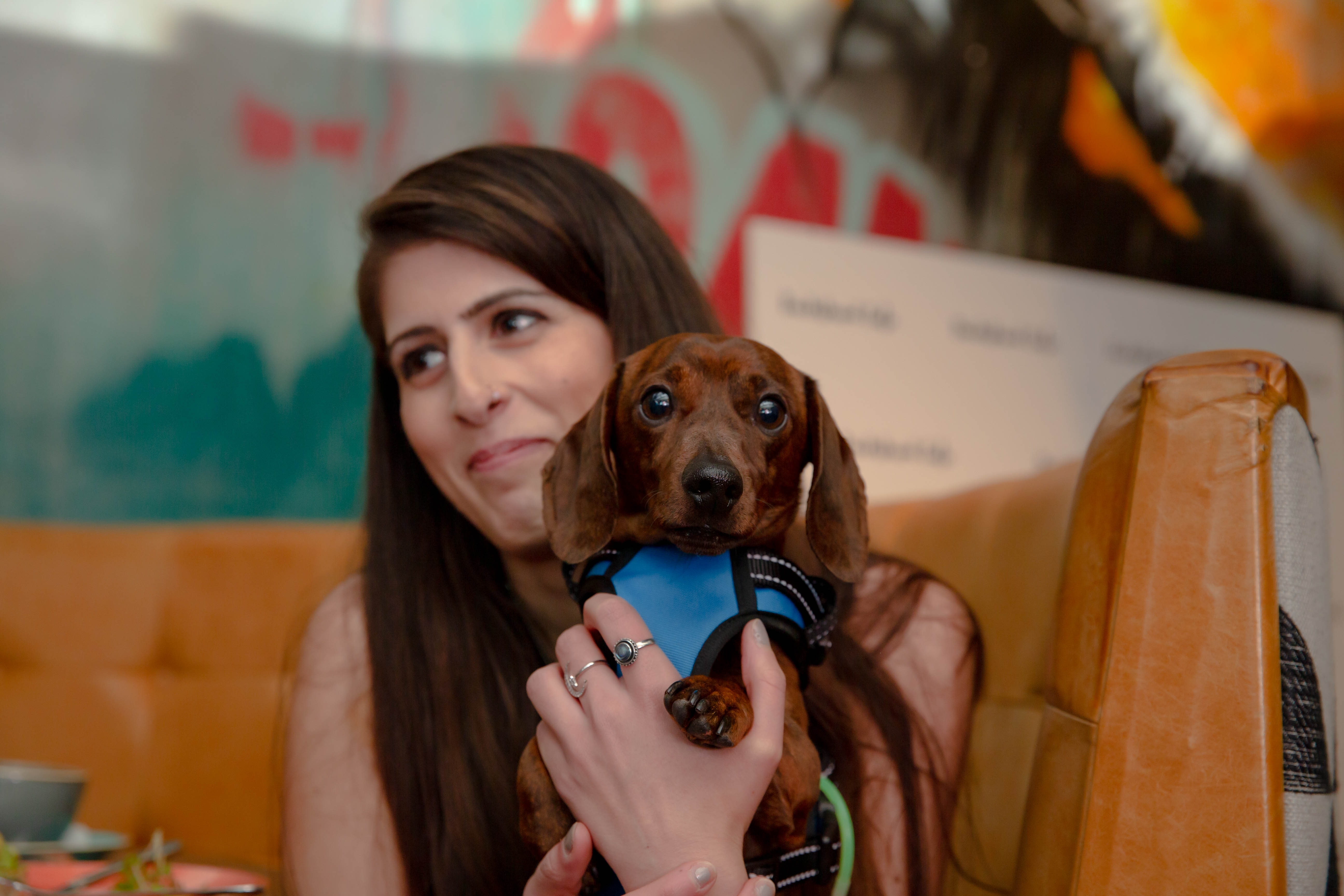 Doodles-224 – OFFICIAL POP+BARK