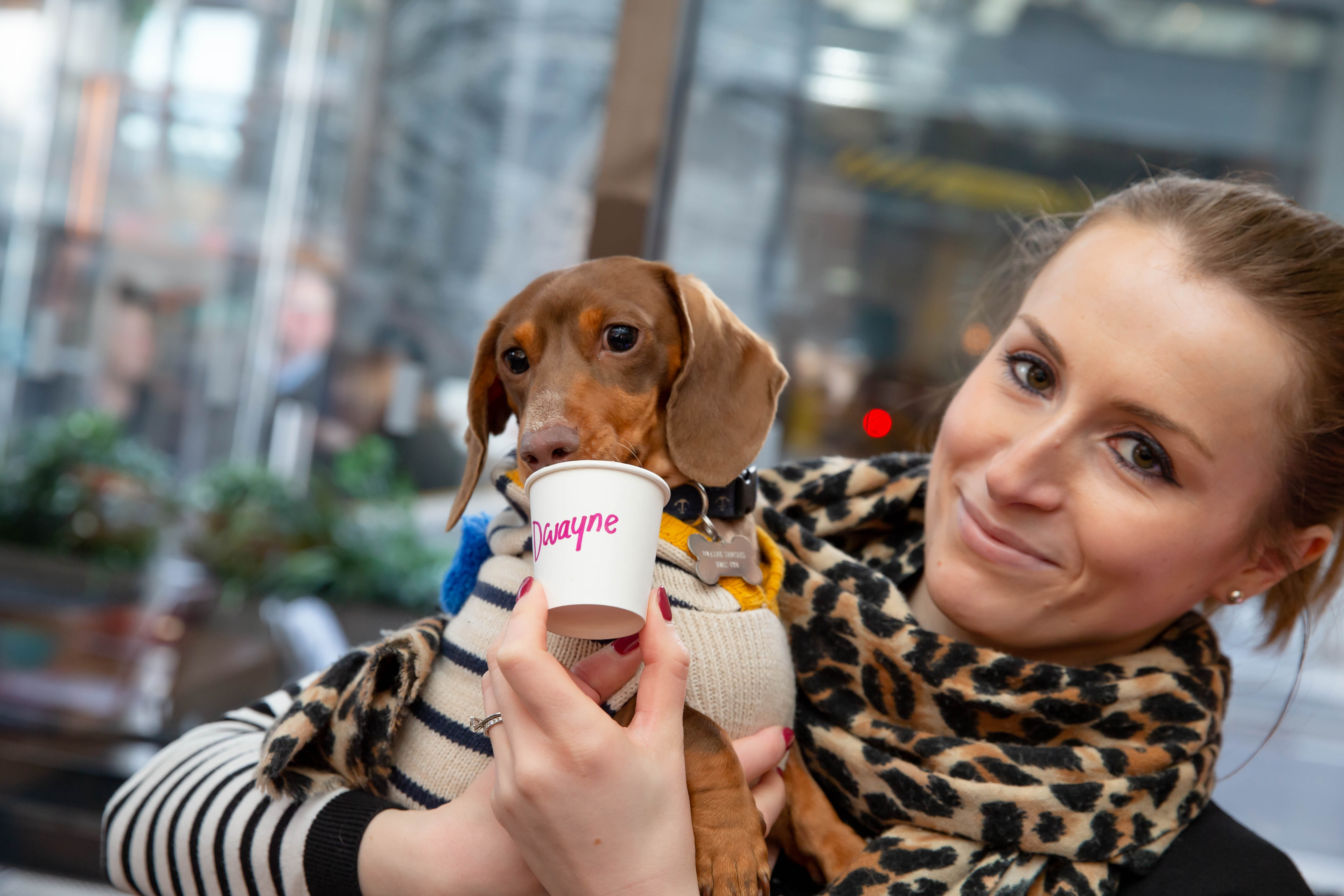 Doodles-47 – OFFICIAL POP+BARK