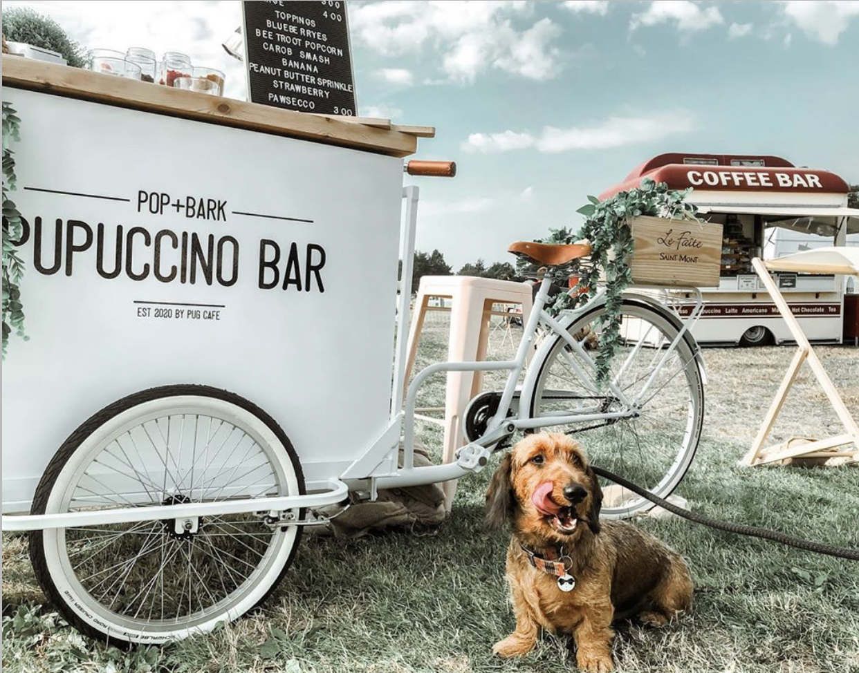 photo-21-09-2020-15-33-02 – OFFICIAL POP+BARK