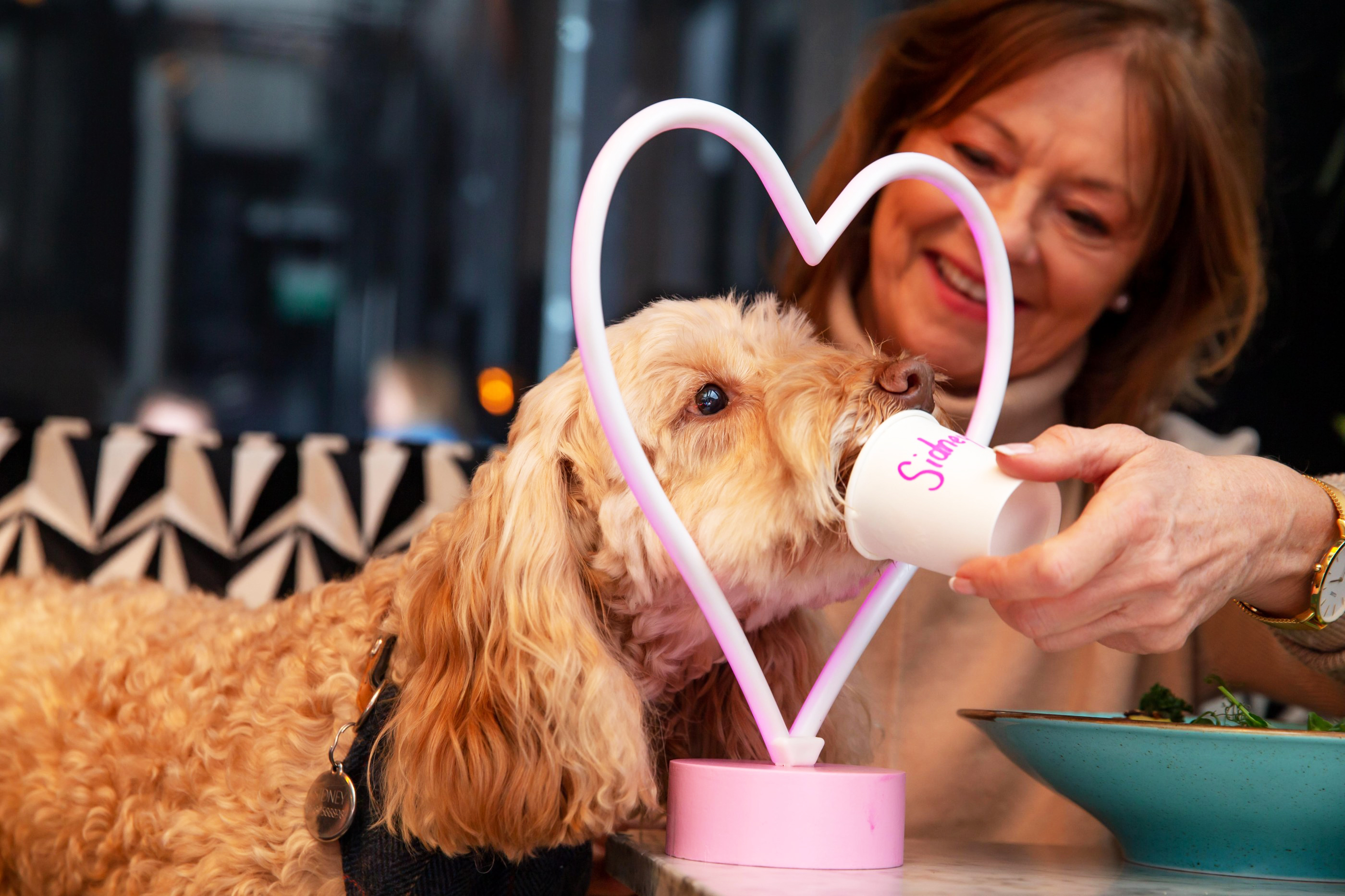 Cockapoo Cafe™ Nottingham at Revolucion de Cuba on the 22nd August 2021 ...