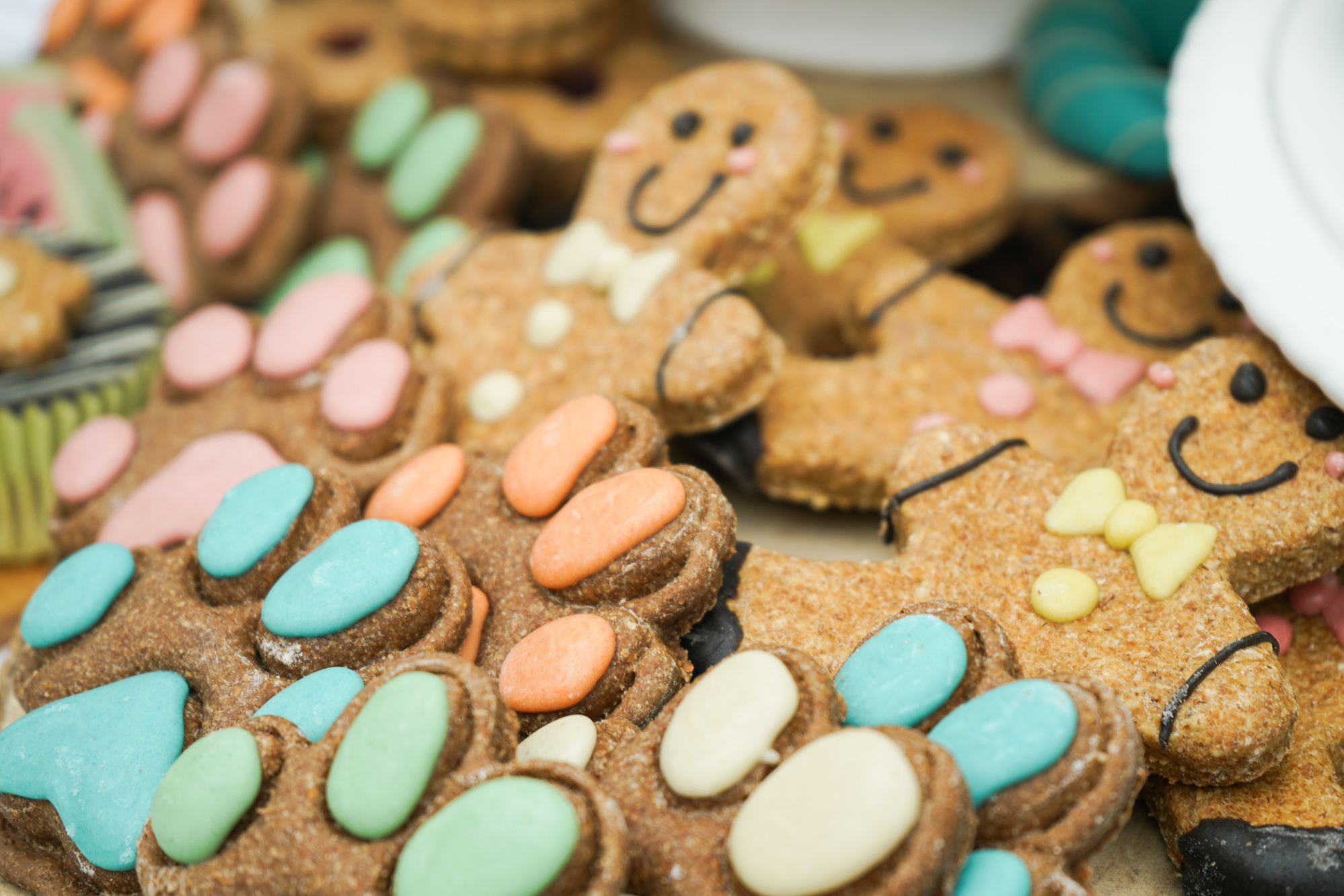 Frenchie Cafe™ DISCO Edition Leeds 15th August – OFFICIAL POP+BARK