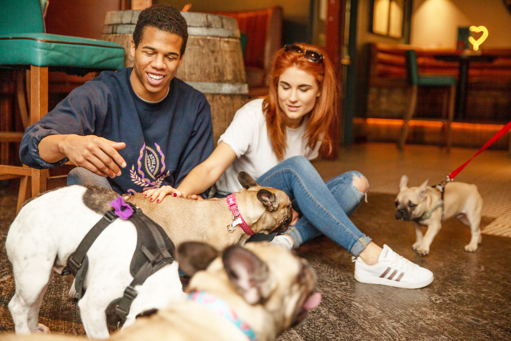Frenchie Cafe™ DISCO Edition Leeds 15th August – OFFICIAL POP+BARK