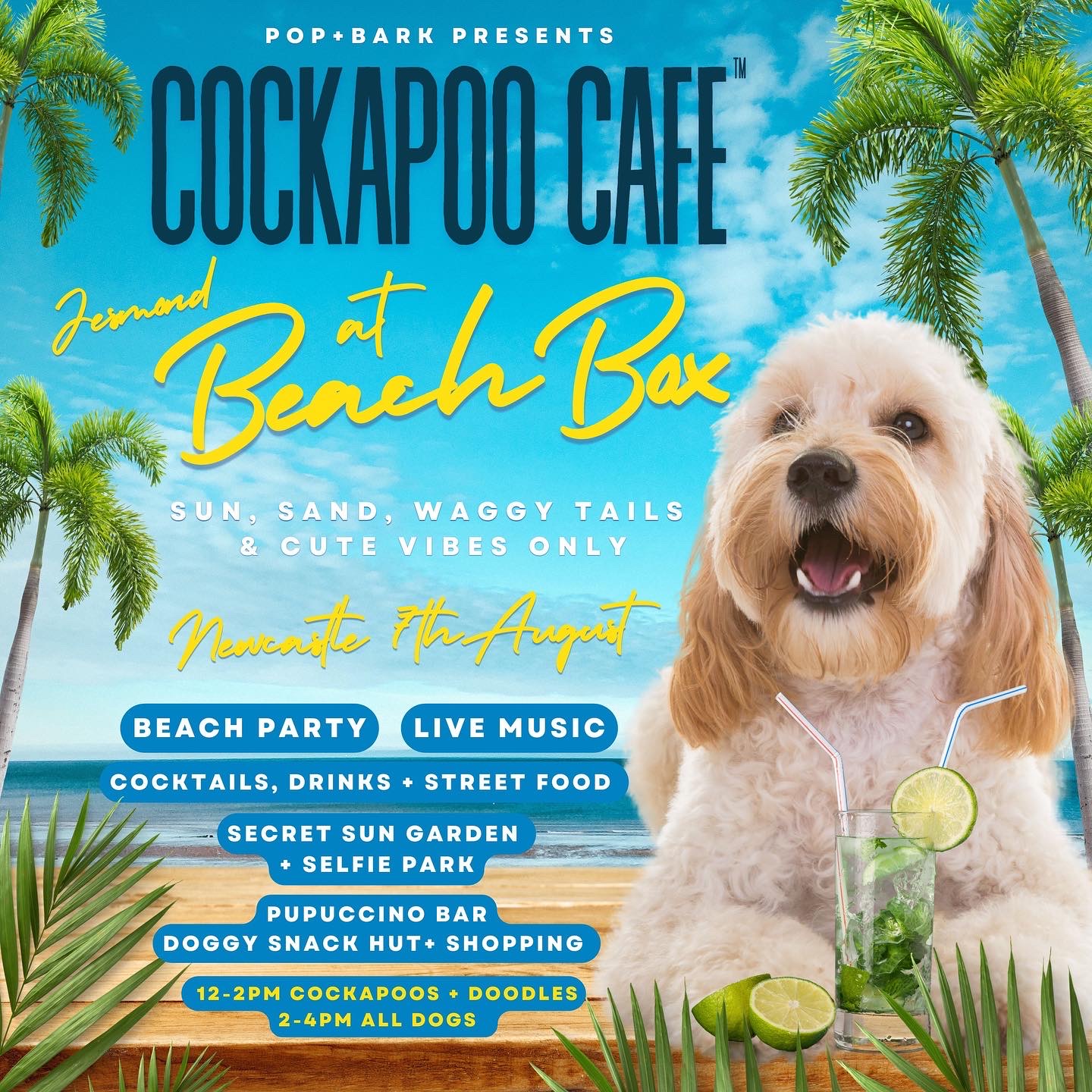 Cockapoo Cafe™ at Beach Box Newcastle 7th August 2022 – OFFICIAL POP+BARK