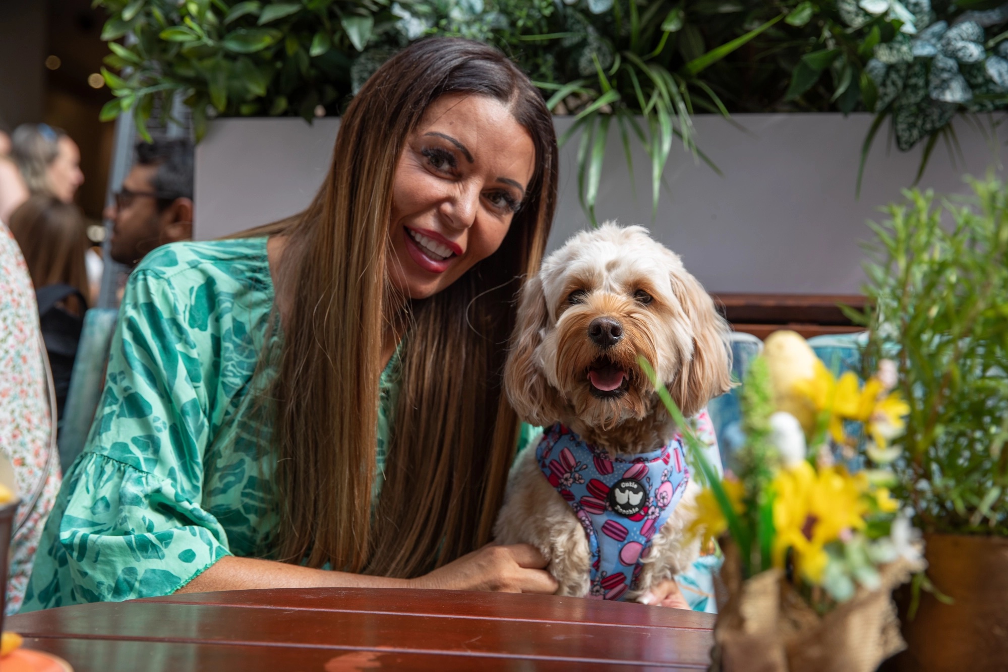 Cockapoo Cafe™ Liverpool Saturday 5th & Sunday 6th November – OFFICIAL ...