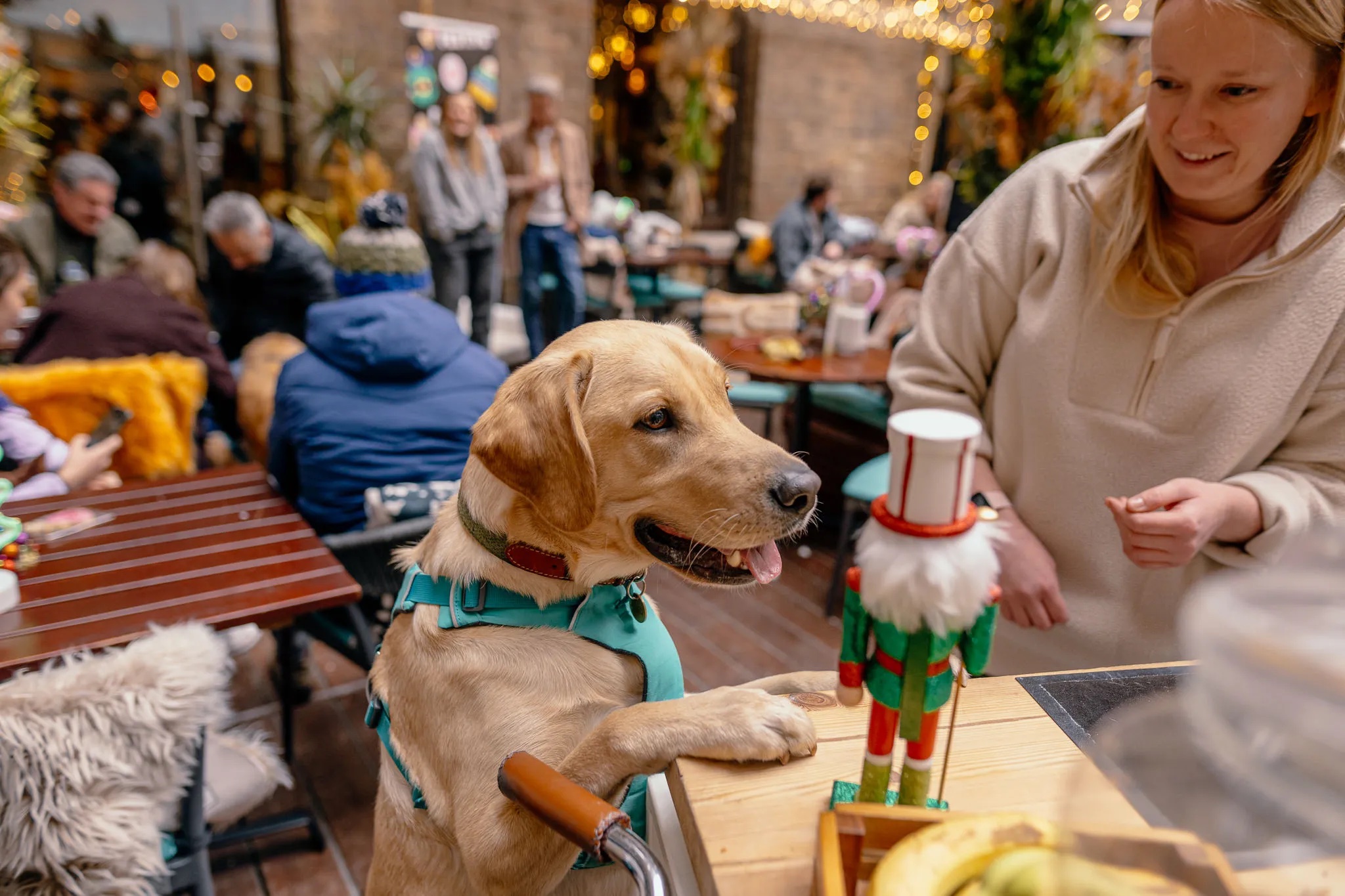 EVENTS – OFFICIAL POP+BARK