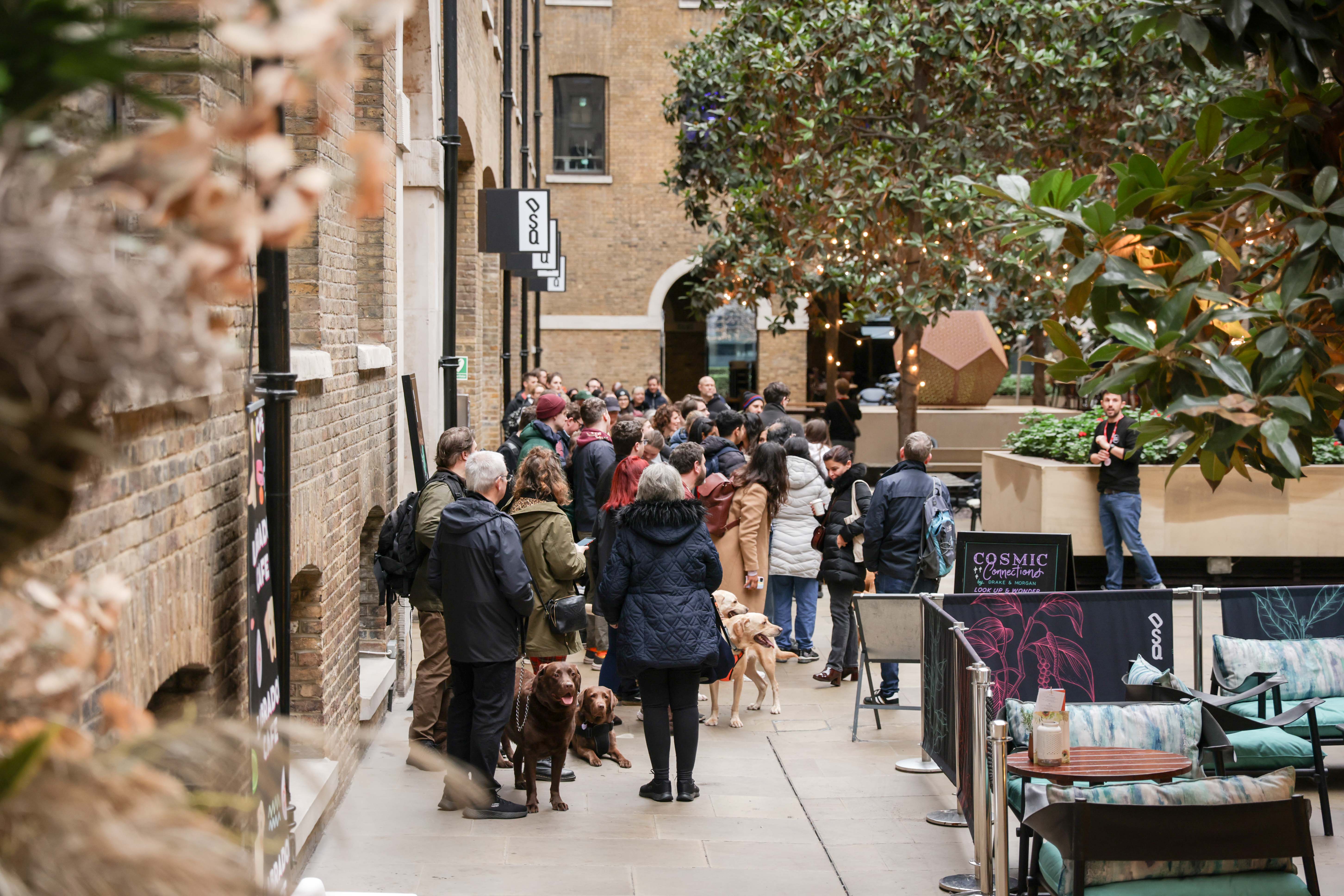 Labrador Cafe at Devonshire Terrace London 2024 – OFFICIAL POP+BARK
