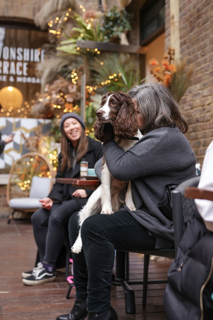 Springer Spaniel Cafe at Devonshire Terrace London 2024 – OFFICIAL POP+BARK