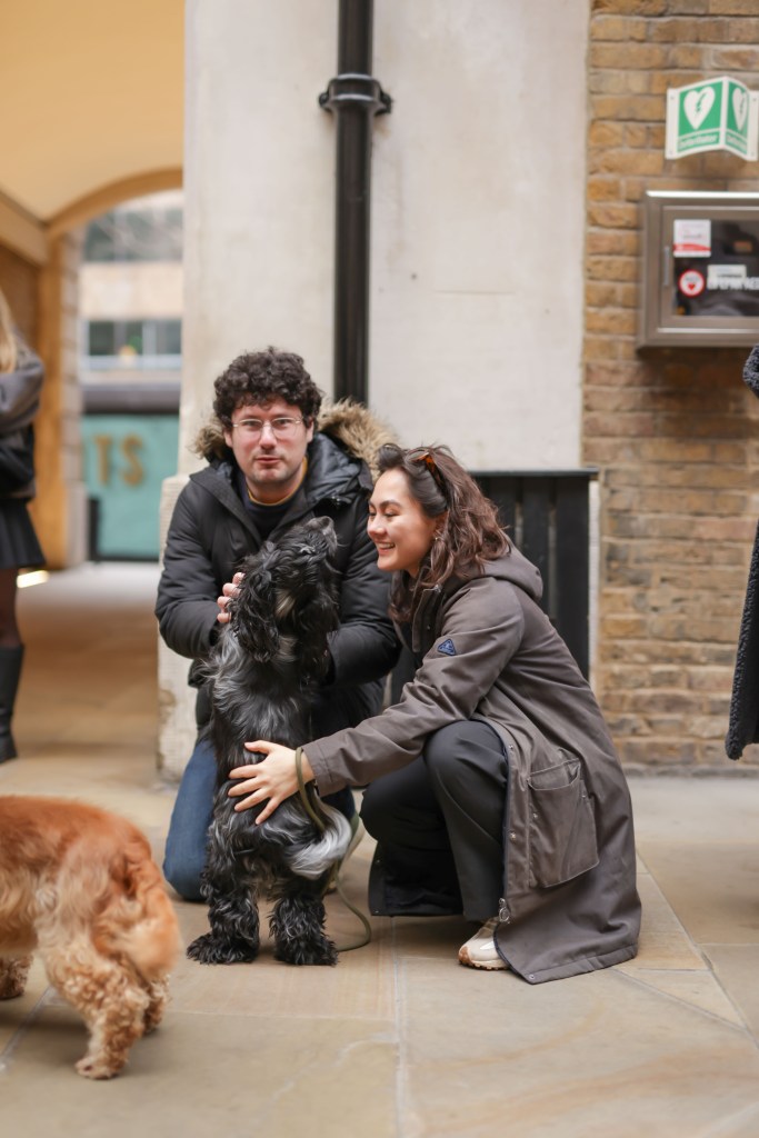 Cocker Spaniel Cafe London 2024 Part 2 – OFFICIAL POP+BARK