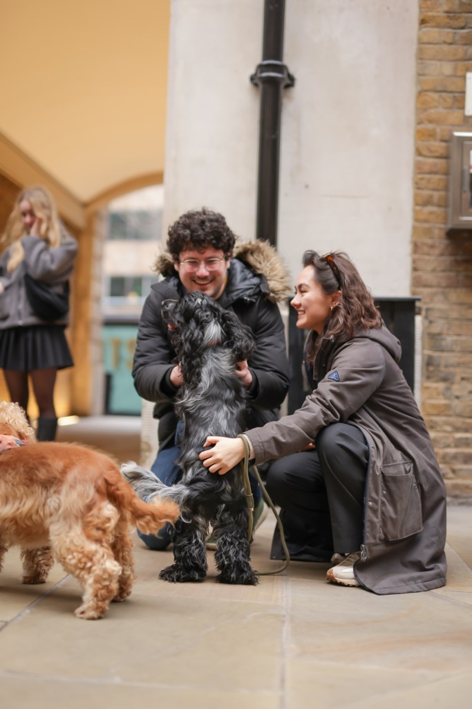 Cocker Spaniel Cafe London 2024 Part 2 – OFFICIAL POP+BARK