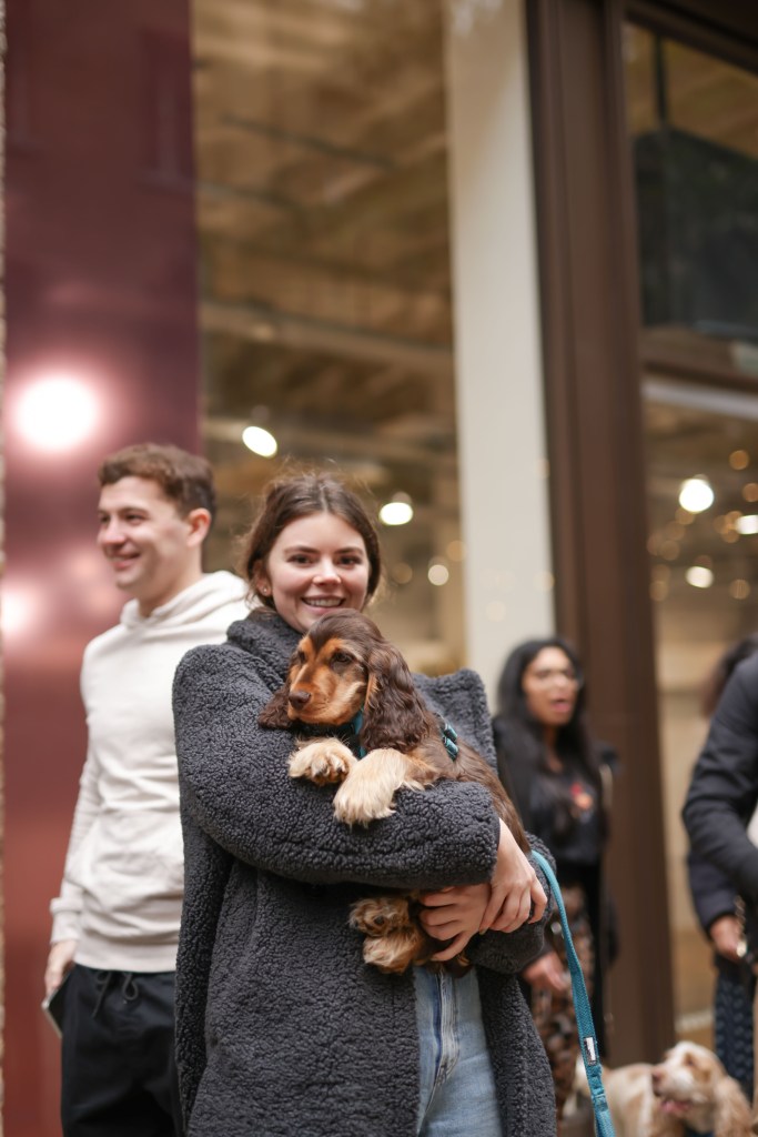 Cocker Spaniel Cafe London 2024 Part 2 – OFFICIAL POP+BARK