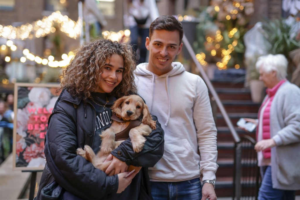 Cocker Spaniel Cafe London 2024 Part 2 – OFFICIAL POP+BARK