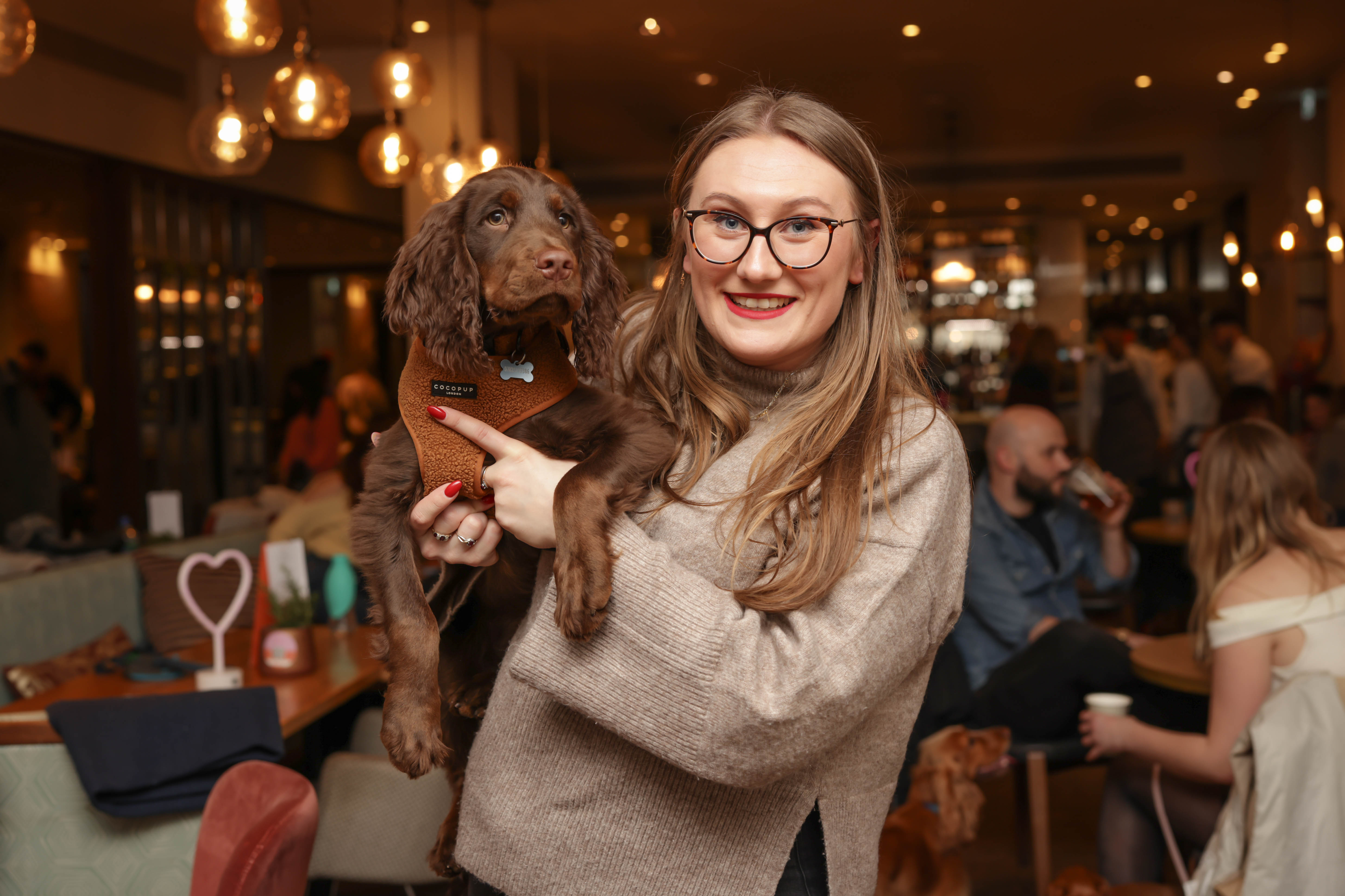 Cocker Spaniel Cafe London 2024 Part 2 – OFFICIAL POP+BARK