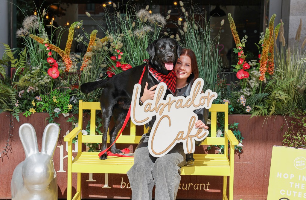 Labrador Cafe London Easter 2025 – OFFICIAL POP+BARK