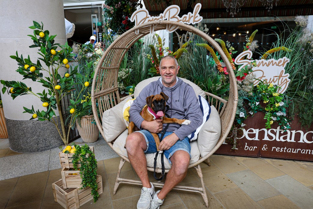 Boxer Cafe London Summer 2025 – OFFICIAL POP+BARK