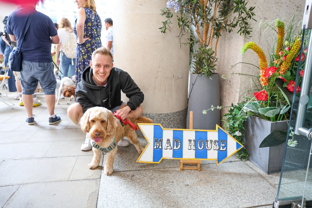 Cockapoo Cafe London Summer 2025 – OFFICIAL POP+BARK