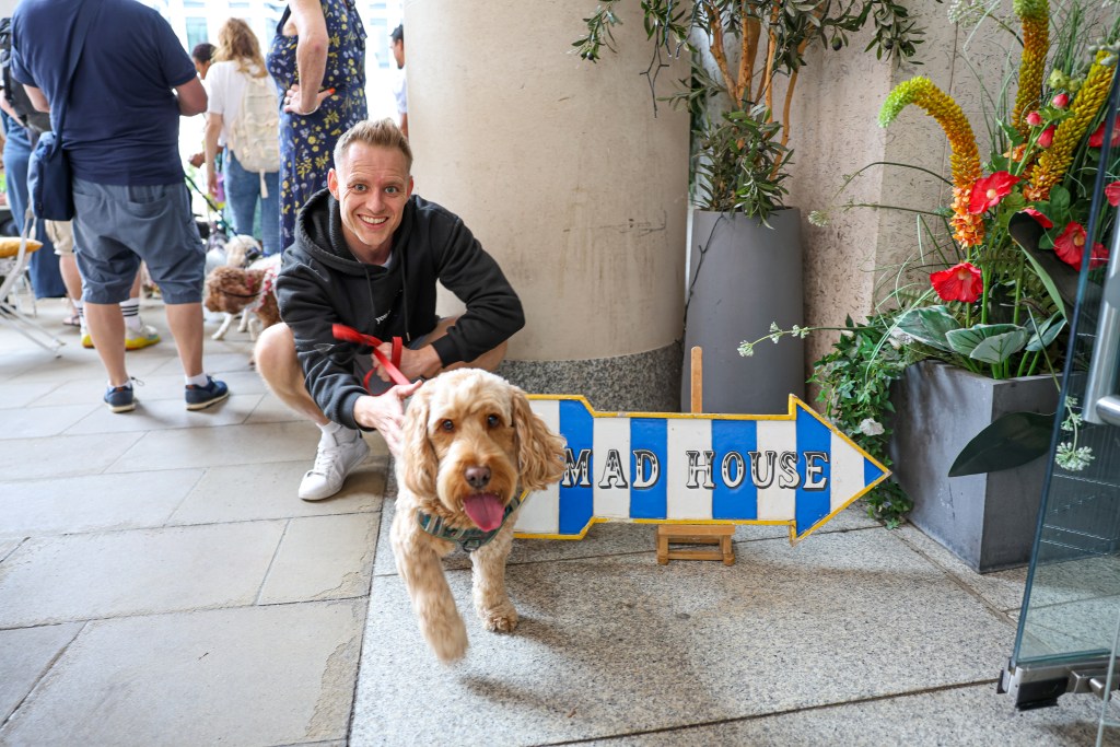 Cockapoo Cafe London Summer 2025 – OFFICIAL POP+BARK